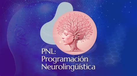 Pnl La Transformación Personal A Través De La Programación