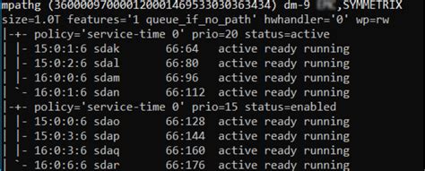 Configuring Path Priority Linux Dell Powermax And Vmax All Flash Srdfmetro Overview And Best