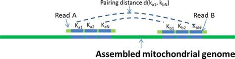 An Error Tolerant Mapping Algorithm For Filtering Mitochondrial Reads