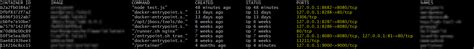 Node Js Puppeteer Does Not Seem To Work With Docker Stack Overflow