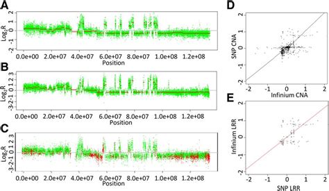 Using High Density Dna Methylation Arrays To Profile Copy Number