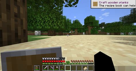 Minecraft Bug Rminecraft