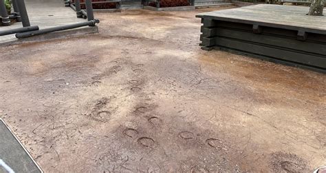 New Pavement Outside Of Frontierland Shootin Arcade Wdwmagic