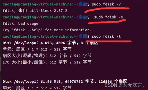 linux虚拟机之ubuntu的磁盘存储管理（5 10） ubuntu 磁盘管理 csdn博客