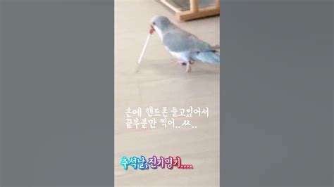 사탕들고튀어버리는 너 사랑 탕 은 늘 도망가 김베니 그거 딴사람입에 있던거 뺏은거 들고 튀냐 윙컷 왜했어 날아오르는데 마비키 퀘이커 Youtube