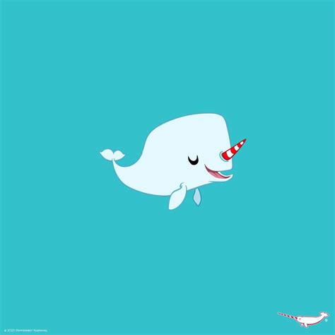 Peppermint Narwhal Creative Sea Turtle Files Green Sea Turtle Happy Sea Turtle Week To