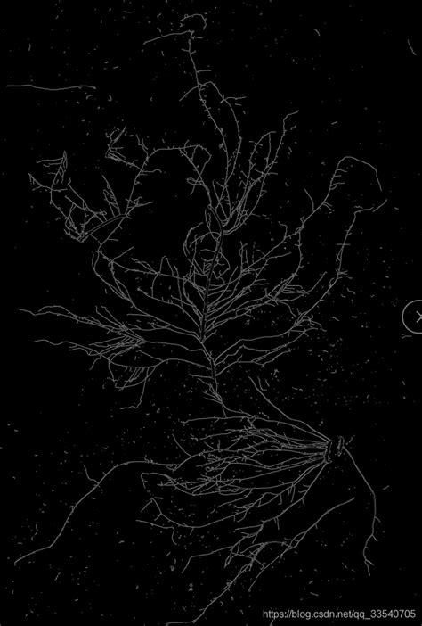 Python之图像处理 ——小点的去除python 去除小点 Csdn博客