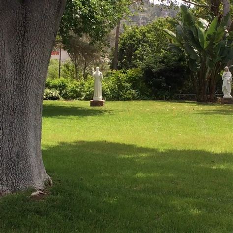 Mission Basilica San Diego De Alcala Updated March 2026 1416 Photos