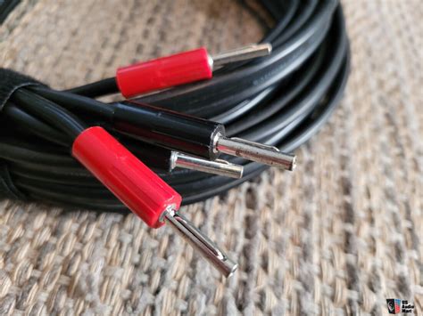 Exposure Speaker Cable 10 Ft Pair Banana Photo 4049840 Us Audio Mart