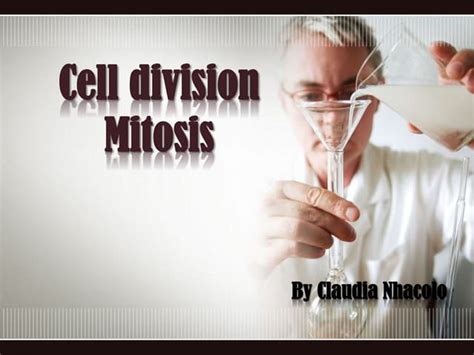 Cell Division Mitosis And Meiosis Ppt