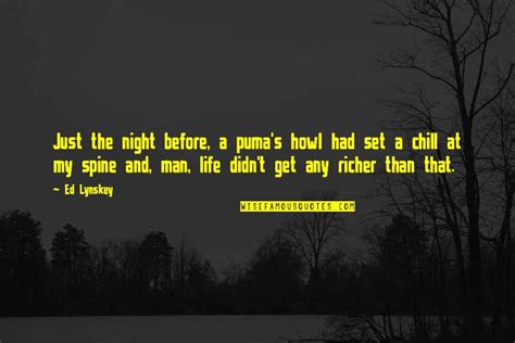 The Night Before Quotes Top 100 Famous Quotes About The Night Before