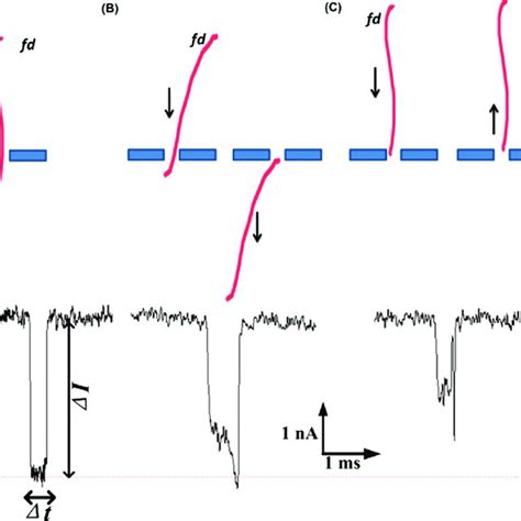 Sigmoidal Fitting Events It Shows Four Single Events With Sigmoidal