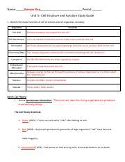 Cell Structure And Function Study Guide Organelle Functions Course Hero