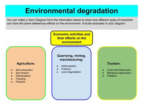Environmental Degradation Examples You Should Know