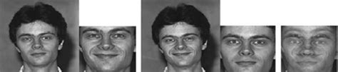An Example Of Misalignment From 13 By Incorrect Facial Landmarks