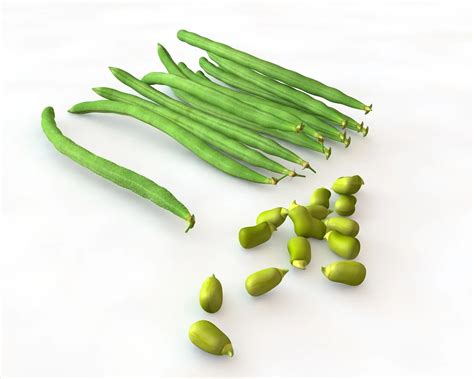 French Beans 3d Model Flippednormals
