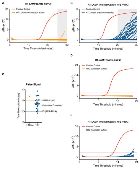 Optimisation Of The Rt Lamp Assay For Accurate Detection A B 7 Download Scientific Diagram