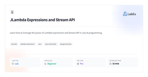 Domine Java 8 Com Expressões Lambda E Api Stream Labex