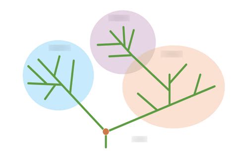 Diagram Of Biology 241 Unit 1 Molecular Energy Transformations Classifications Quizlet