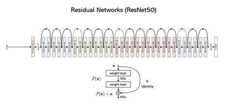 Tanish Kamdar On Linkedin Creating A Resnet Residual Network For Flower Classification Check Out
