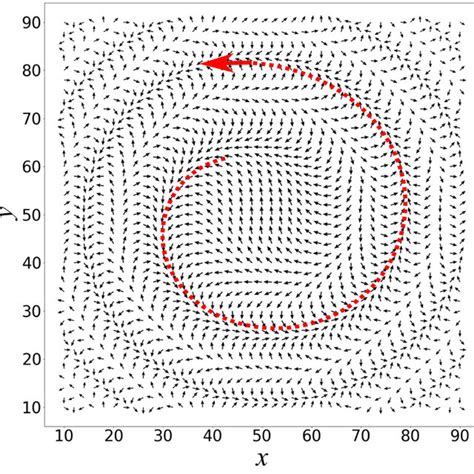 Numerical Solution Of The Polarization Distribution In The Presence Of