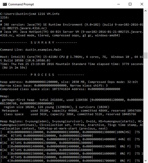 Jcmd One Jdk Command Line Tool To Rule Them All Java Code Geeks