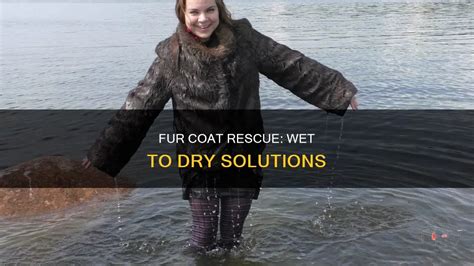 Fur Coat Rescue Wet To Dry Solutions Shunvogue