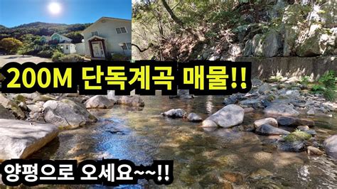 1억2천 인하~~ 200미터가 넘는 계곡을 접한 펜션 캠핑장 급매~ 양평 계곡물 물건 매매~ Youtube
