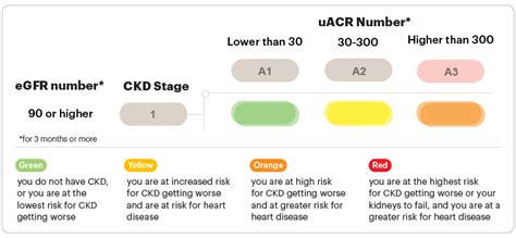 Stage Chronic Kidney Disease CKD National Kidney 44 OFF