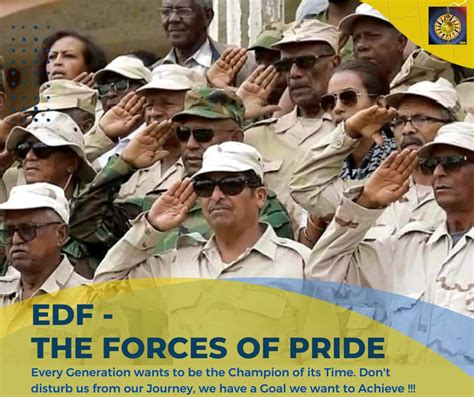 𝐍𝐚𝐭𝐢𝐨𝐧𝐚𝐥𝐄𝐫 𝐈𝐧𝐭𝐞𝐫𝐞𝐬𝐭 on Twitter All plots massive campaigns to cripple the Eritrean