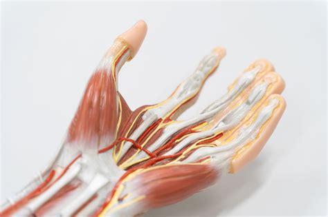 Facts About Julianne Moore Facts Net