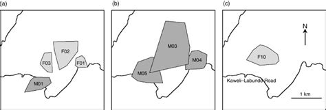 Home Range Polygons 95 Minimum Convex Polygon Method Of Eight Malay