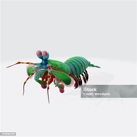 흰색 배경에 격리된 다채로운 새우를 렌더링한 3d의 그래픽 그림 0명에 대한 스톡 사진 및 기타 이미지 0명 3차원 형태 갑각류 Istock