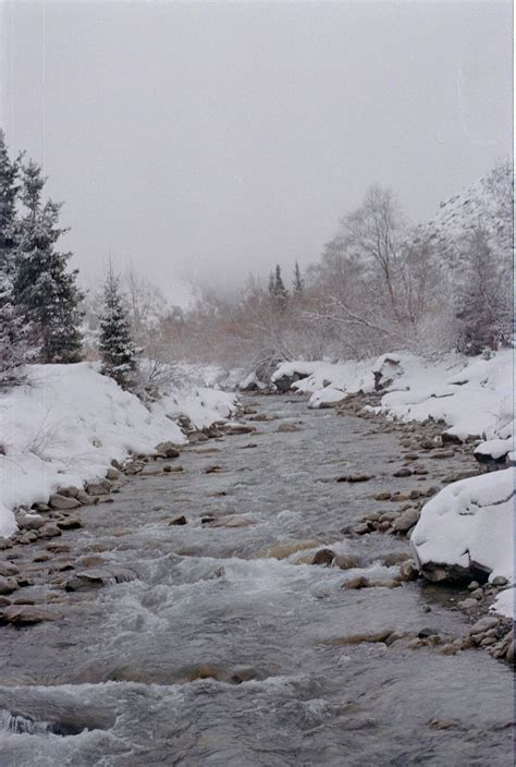 Заповедник Ала Арча