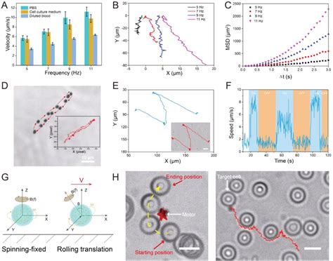 Controllable Motion Of Magnetically Actuated Ocs‐robot A Velocity Of Download Scientific