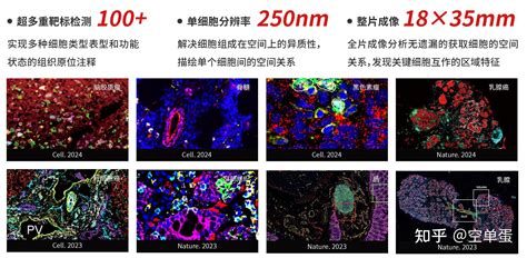 Cancer Cell 空间单细胞蛋白组联合单细胞测序解析三阴性乳腺癌治疗响应的免疫微环境特征 知乎