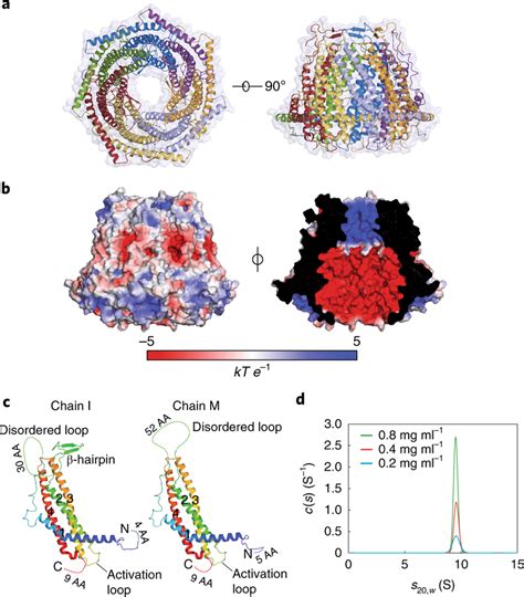 Crystal Structure And Sedimentation Velocity Analysis Of Pfpa28 A Top Download Scientific