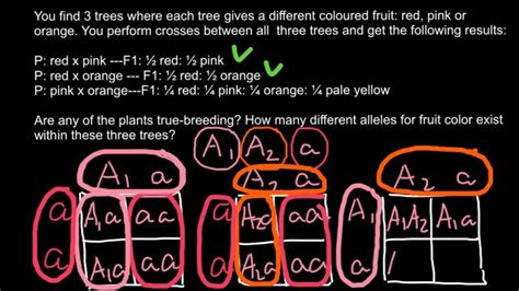 nikolay s genetics lessons on linkedin how to analyze and solve