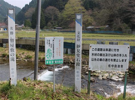 禿の行者山