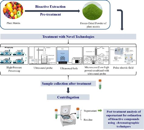 Illustration For The Extraction Of Bioactive Compound Using Novel Download Scientific Diagram