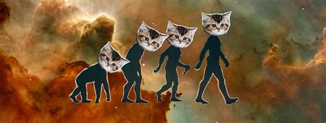 Simple Genetic Algorithm By A Simple Developer In Python By Maciej S Towards Data Science