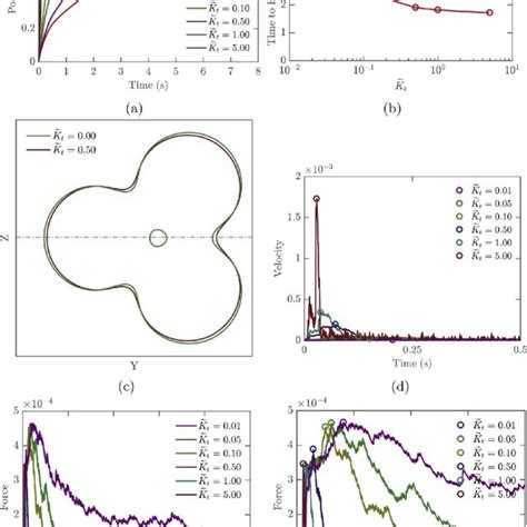 A Pore Shrinkage Kinetics And B Time To Reach A Complete Shrinkage Download Scientific