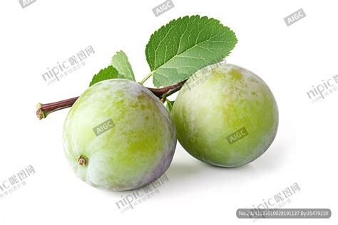 Ai创作图酸甜西梅图片素材 酸梅图片素材 西梅果手绘 高清青梅图片 西梅高清插画 乌梅白底图片 青梅手绘素材 写实西梅 青梅果棚拍青果 青梅果素材 青脆李手绘插画 西梅鲜果详情 水果西梅树 大