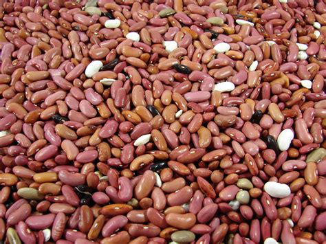 Best Seasoning For Dry Beans At Darnell Johnson Blog