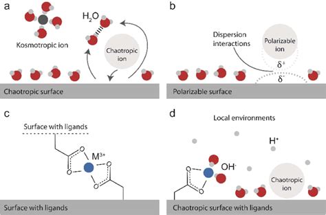 Schematic Drawing Of Different Specific Ion Effects Reproduced From
