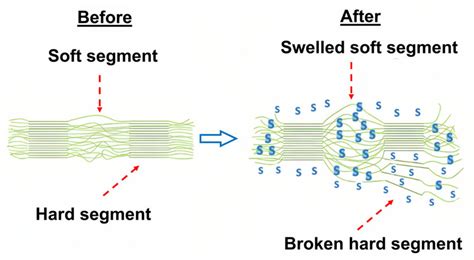 Polyurethane Breaking Structure S Solvent Solution Download Scientific Diagram