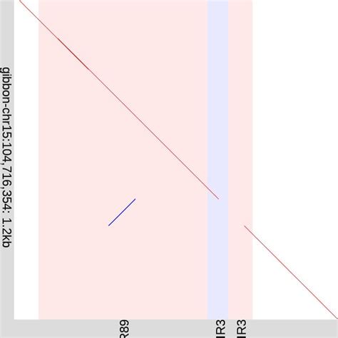 A Short Range Rearrangement In The Gibbon Genome Relative To Human The Download Scientific
