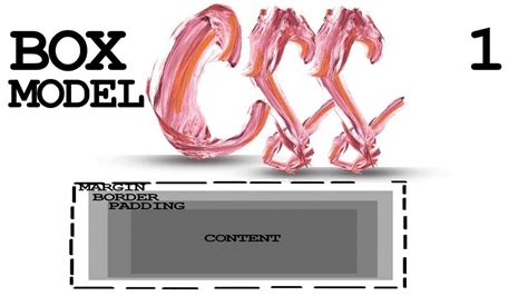Box Model Css Part 1 Css Ro Lectia 17 Tutorial Dieno Digital