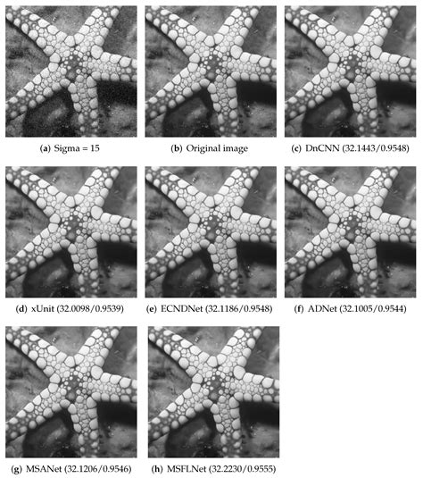 Multi Scale Feature Learning Convolutional Neural Network For Image Denoising