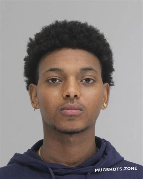 Hailemichael Robel 12 03 2024 Dallas County Mugshots Zone